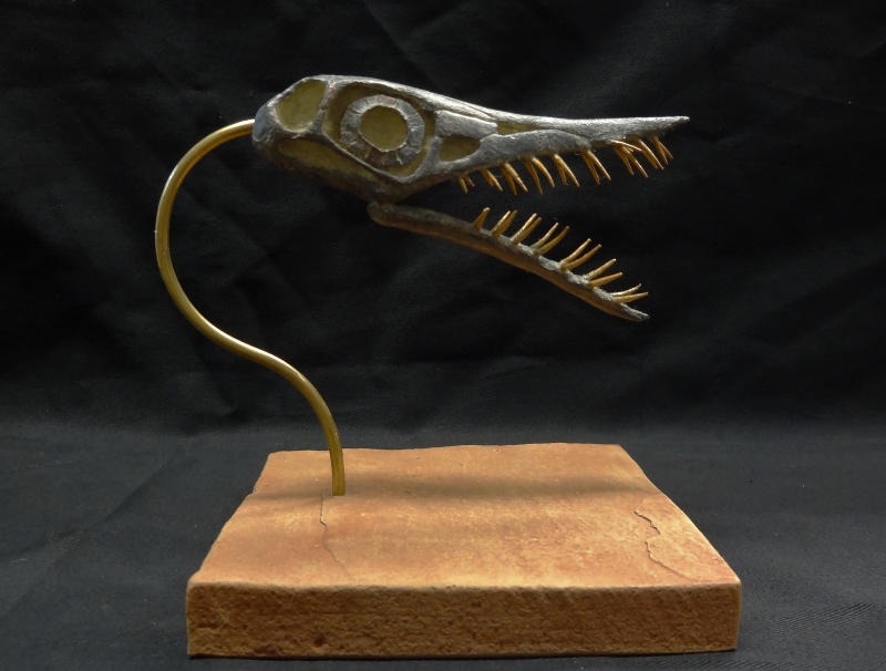 Pterosaur Skeletons - Gaston Design, Inc.