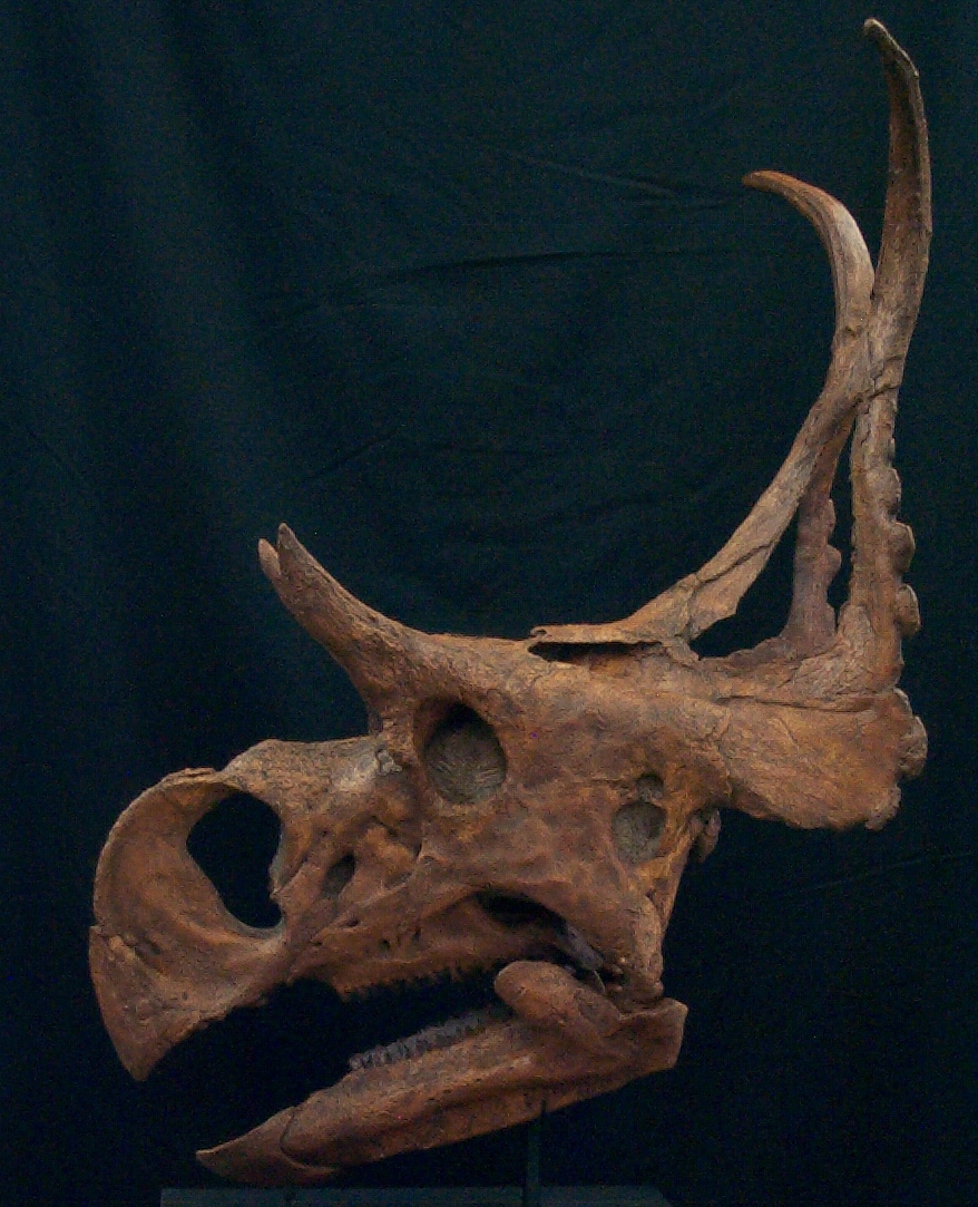 Home - Gaston Design, Inc.