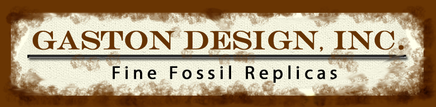 Dinosaur Skulls Archives - Gaston Design, Inc.