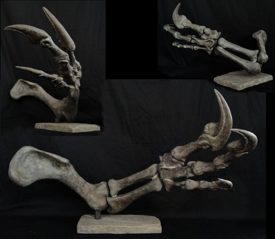 Allosaurus arm - Gaston Design, Inc.