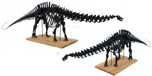 New Utahraptor Skeleton - Gaston Design, Inc.